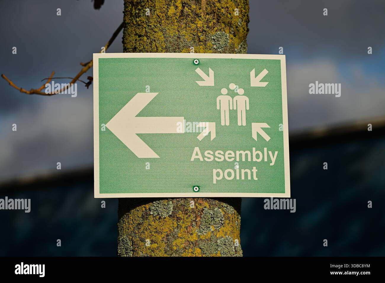 Green Assembly Point Sign With Arrow Mounted On Tree Stock Photo - Alamy