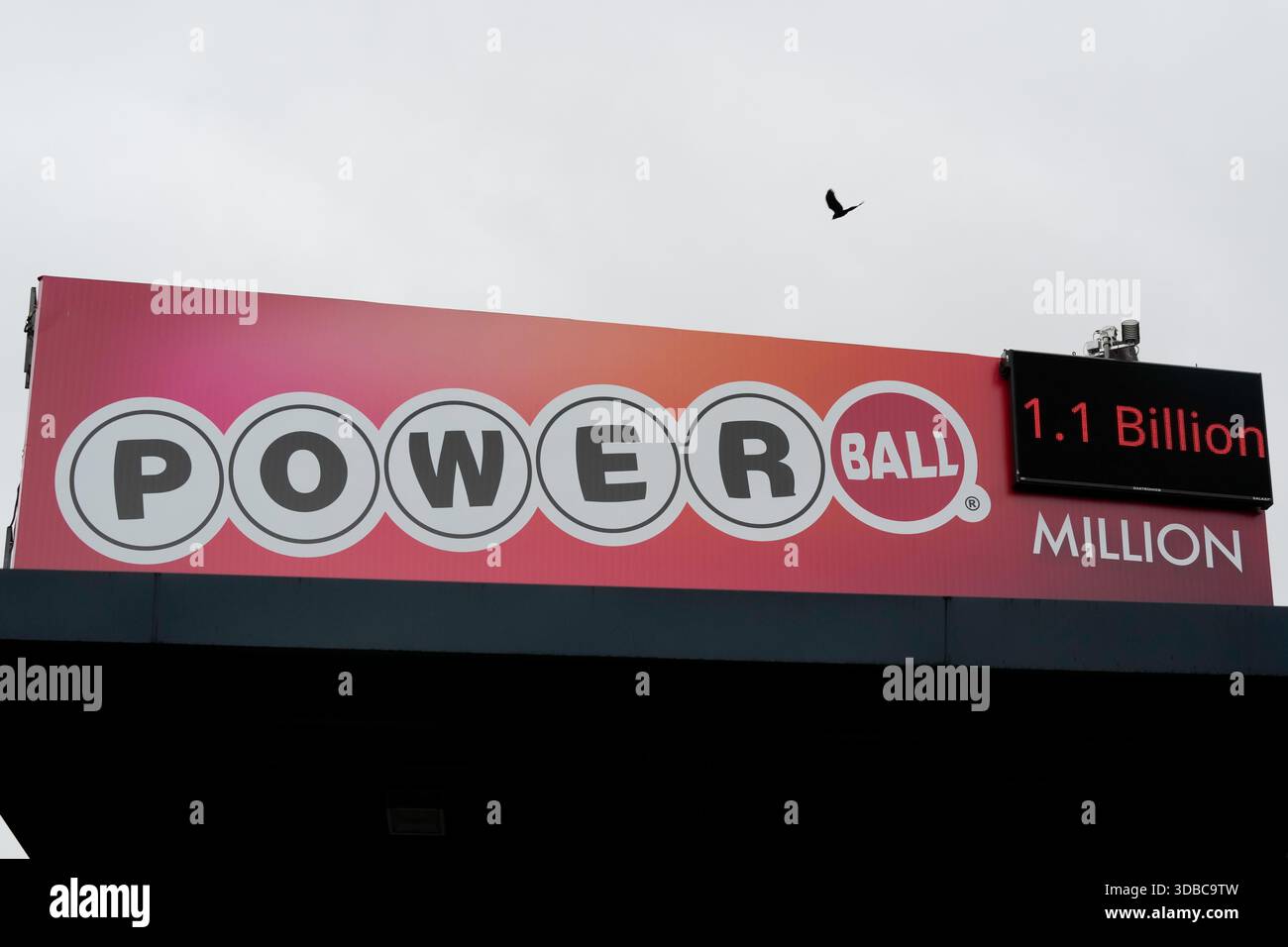A bird flies past a billboard advertising the Powerball lottery on ...