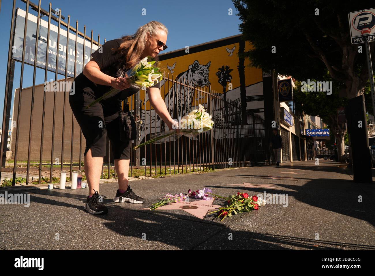 Flowers are placed at the Walk of Fame star for Rob Reiner Monday, Dec ...