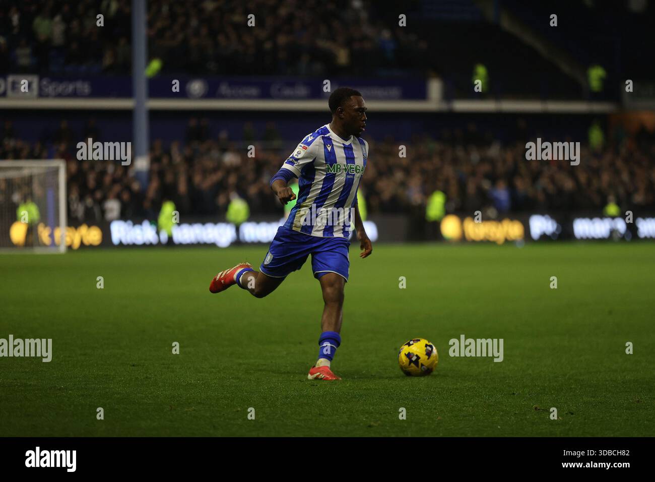 during the Sky Bet Championship match between Sheffield Wednesday and ...
