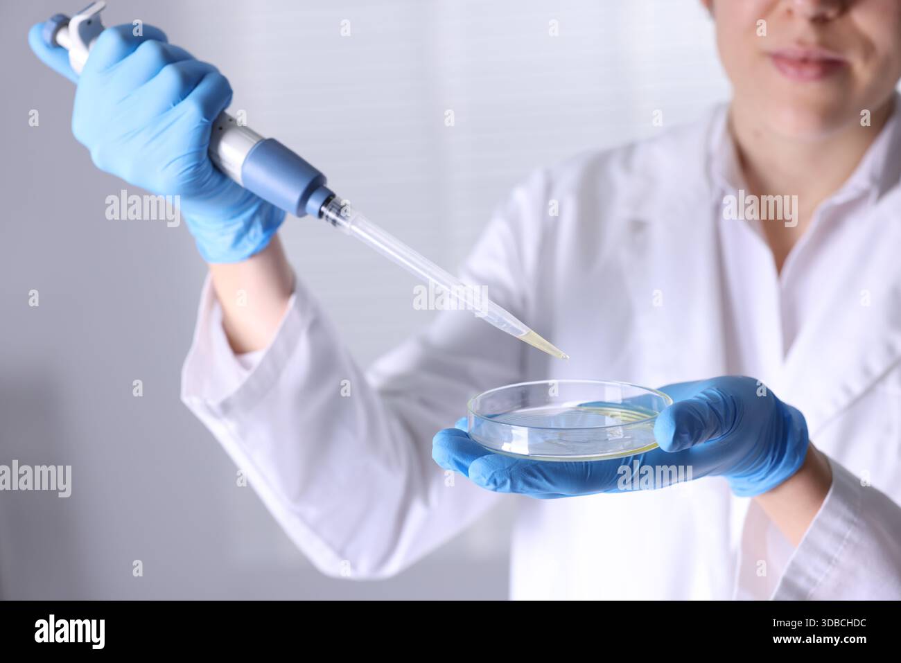 Scientist dripping motor oil petri hi-res stock photography and images ...