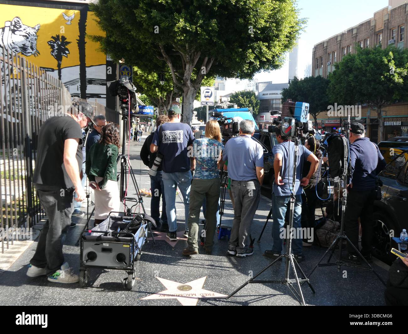 Los Angeles, California, USA 15th December 2025 Media at Director Rob ...