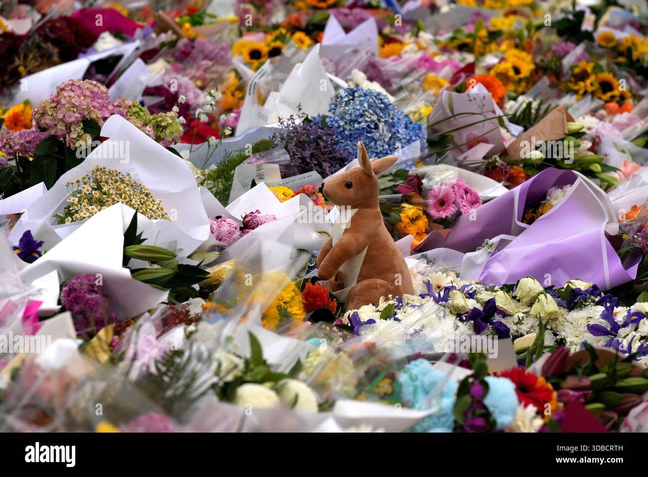 A soft toy Kangaroo is placed among a floral tribute at the Bondi Pavilion at Bondi Beach on ...