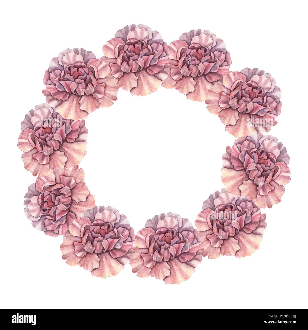 Floral arrangement pink carnation Cut Out Stock Images & Pictures - Alamy