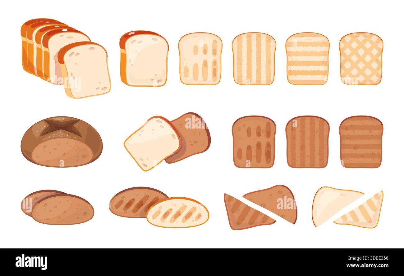 Cartoon toasts. Different types of sliced bakery products, rye, whole ...