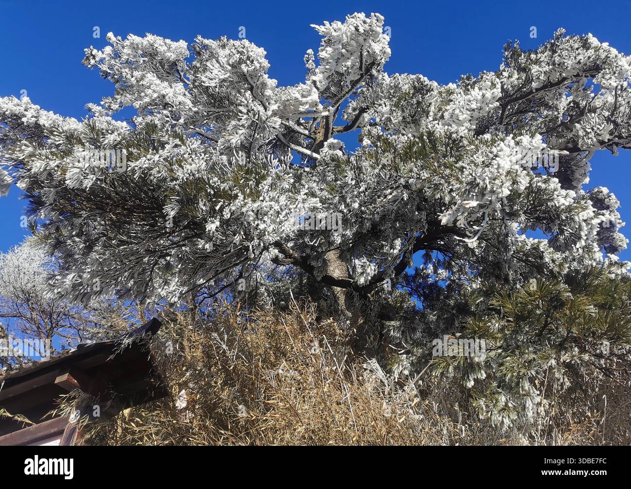 Aerial photo shows the snow scenery of the Laojunshan scenic spot in ...