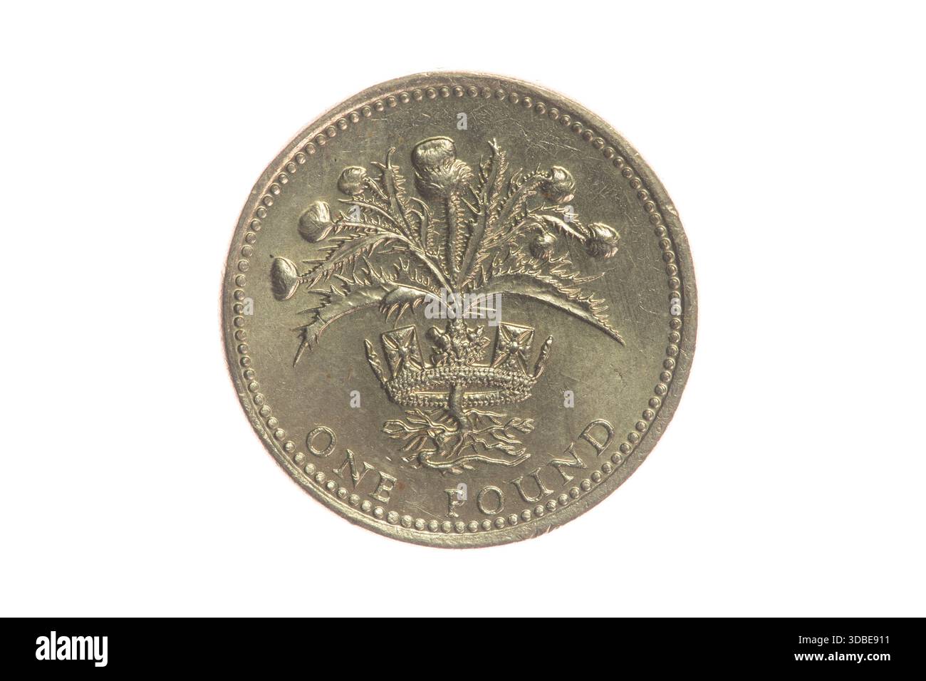 Queen Elizabeth II 1989 pound coin - reverse - Scottish design Stock ...