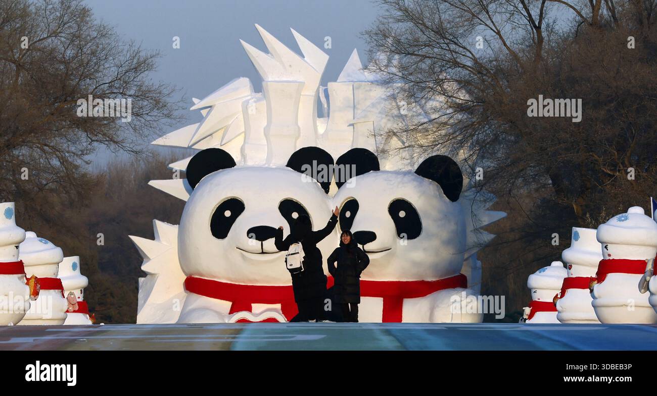 A panda snow sculpture makes debut in Harbin City, northeast China's ...