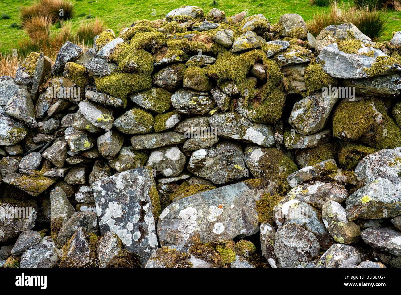Dry stone wall covered in moss and lichen Stock Photo - Alamy