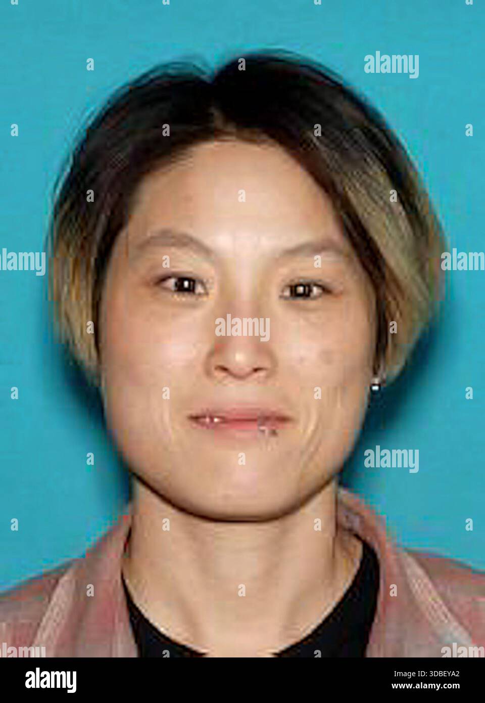 Operation verdant force hi-res stock photography and images - Alamy