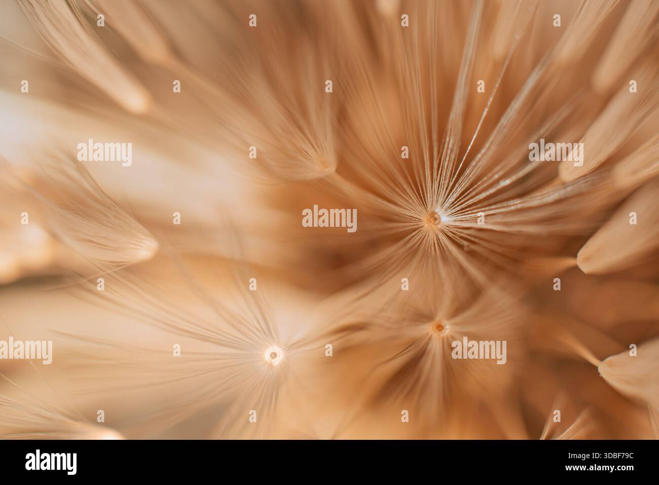 Creative fade hi-res stock photography and images - Alamy