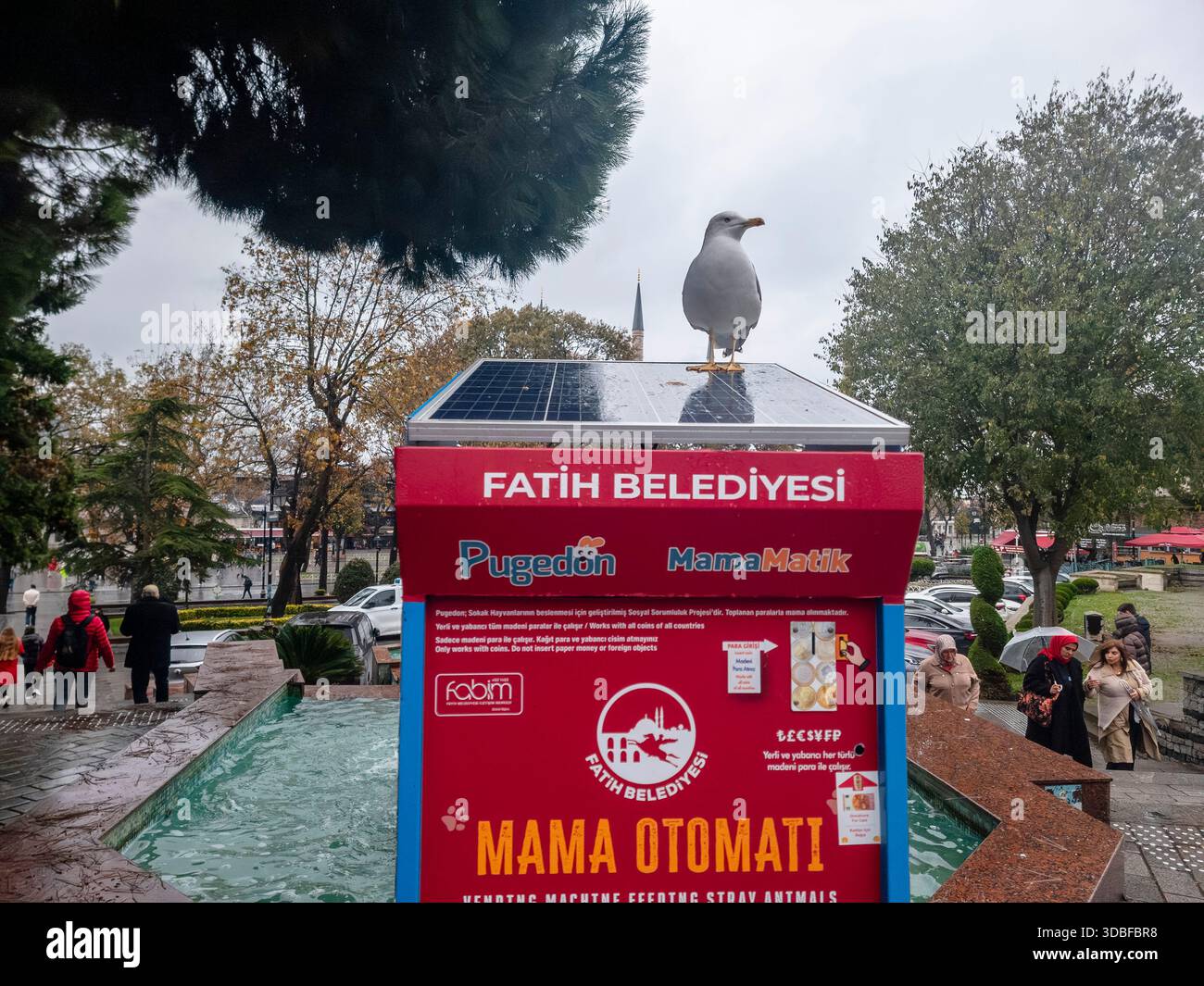 Istanbul, Turkey - 8th December, 2025, Seagull perching on a solar ...