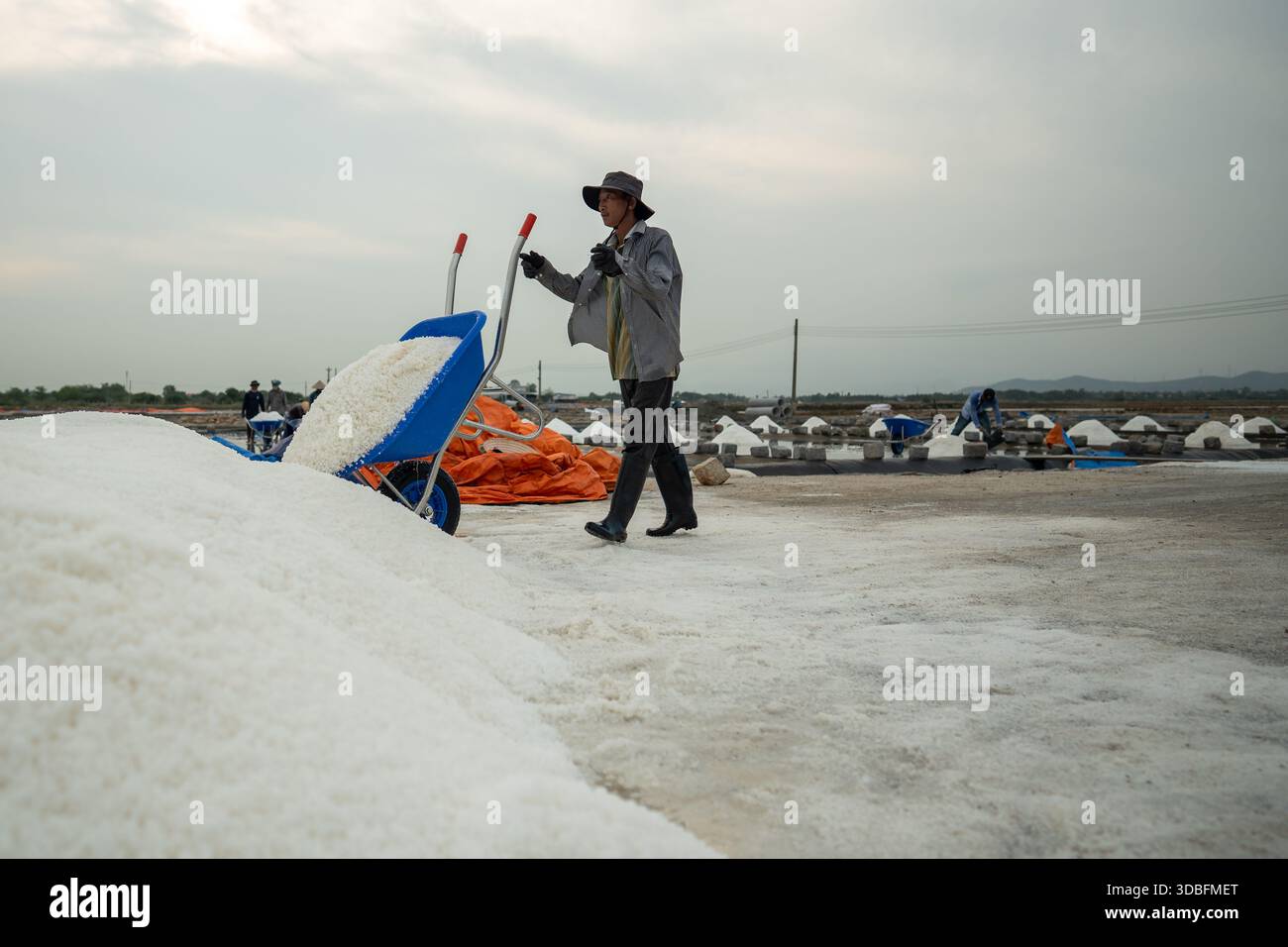 Worker unloading wheelbarrow with sea salt into pile at rural ...