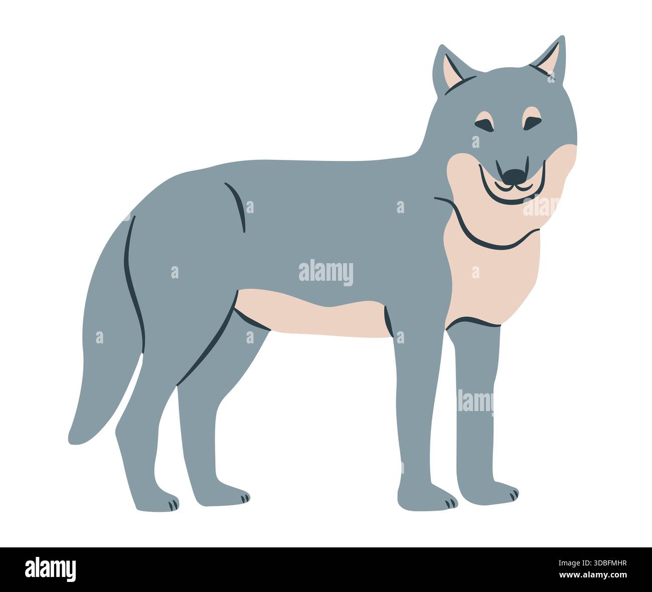 Cartoon wolf standing hi-res stock photography and images - Alamy