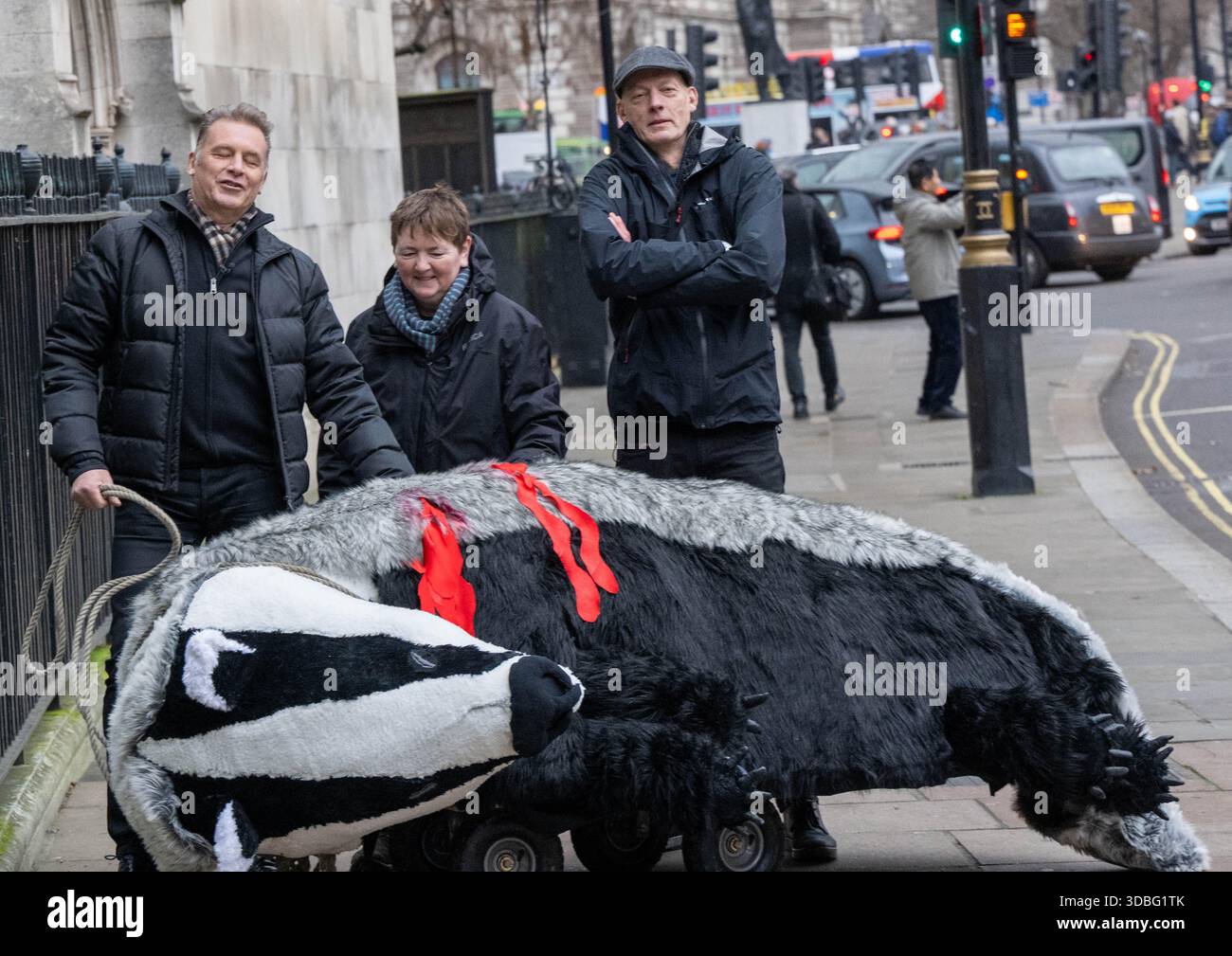 London UK 16 Dec 2025 Chris Packham with a large model badger in ...