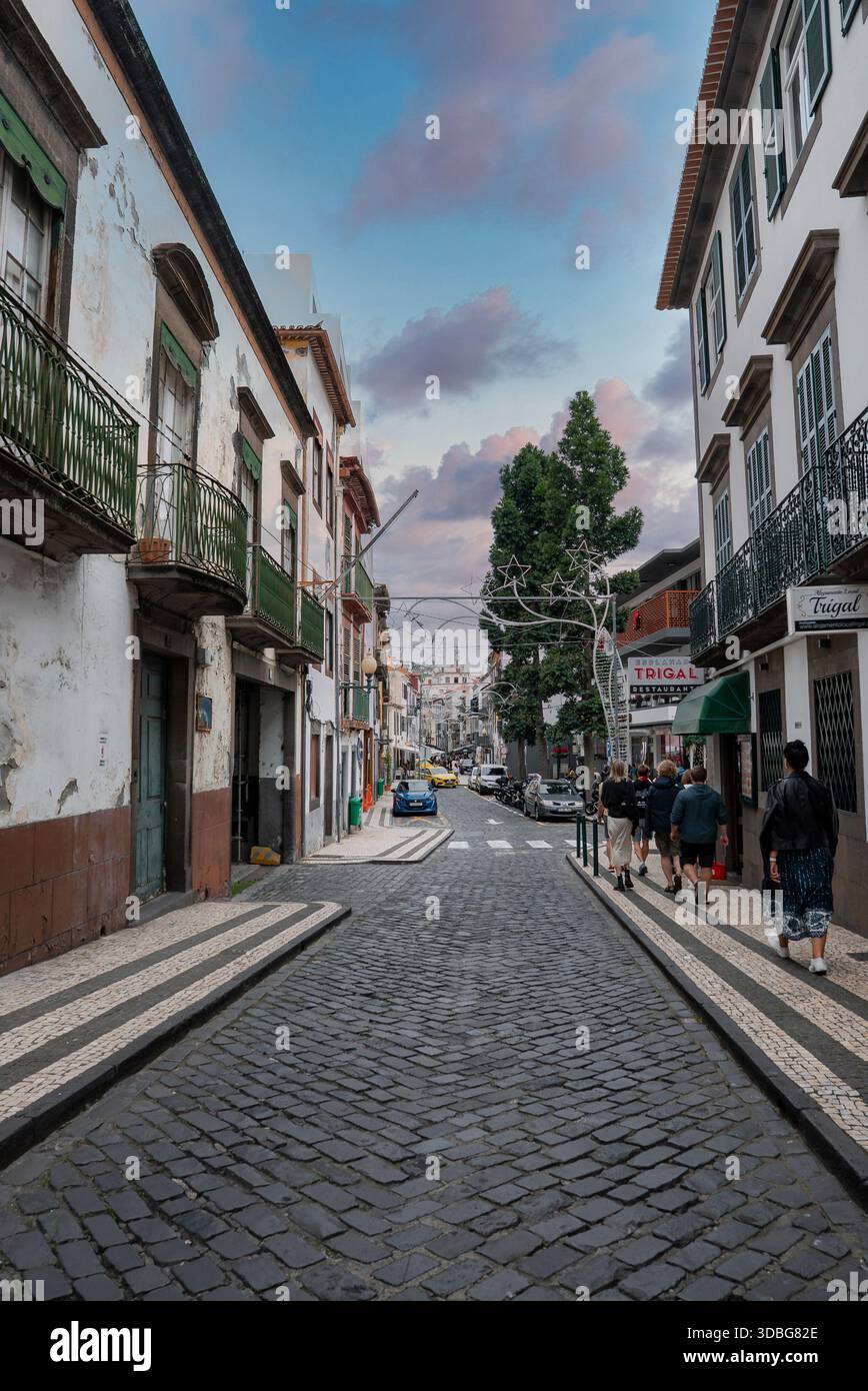Funchal cobbled street with calcada, Trigal sign, and festive lights ...