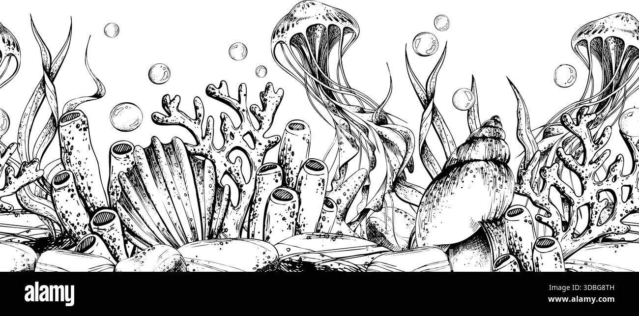 Seamless border with underwater life. Hand drawn ocean creature ...