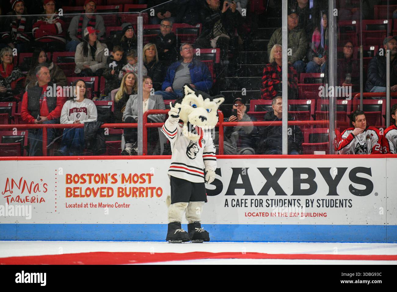 BOSTON, MA - DECEMBER 13: Paws, the Husky, the Northeastern Huskies ...