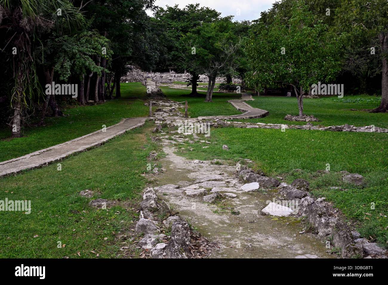 December 7, 2025 - San Miguel, Cozumel, Mexico - An ancient pathway ...