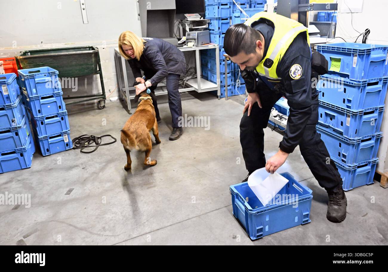 A customs sniffer dog is pictured during a demonstration at a press ...