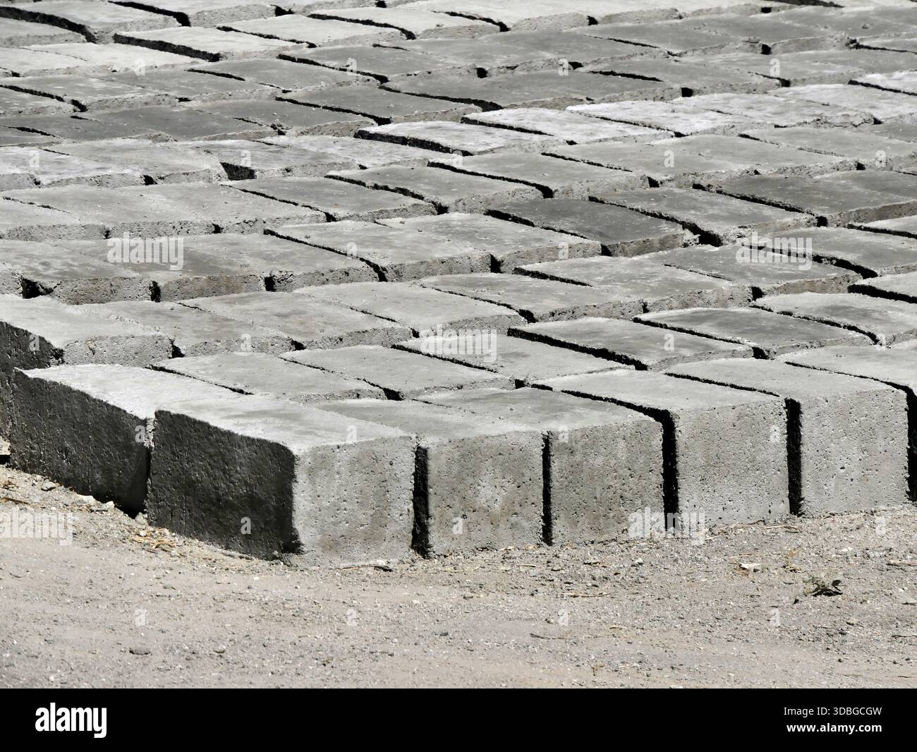 rows of sun drying mud bricks in the sun in ladakh, traditional ...