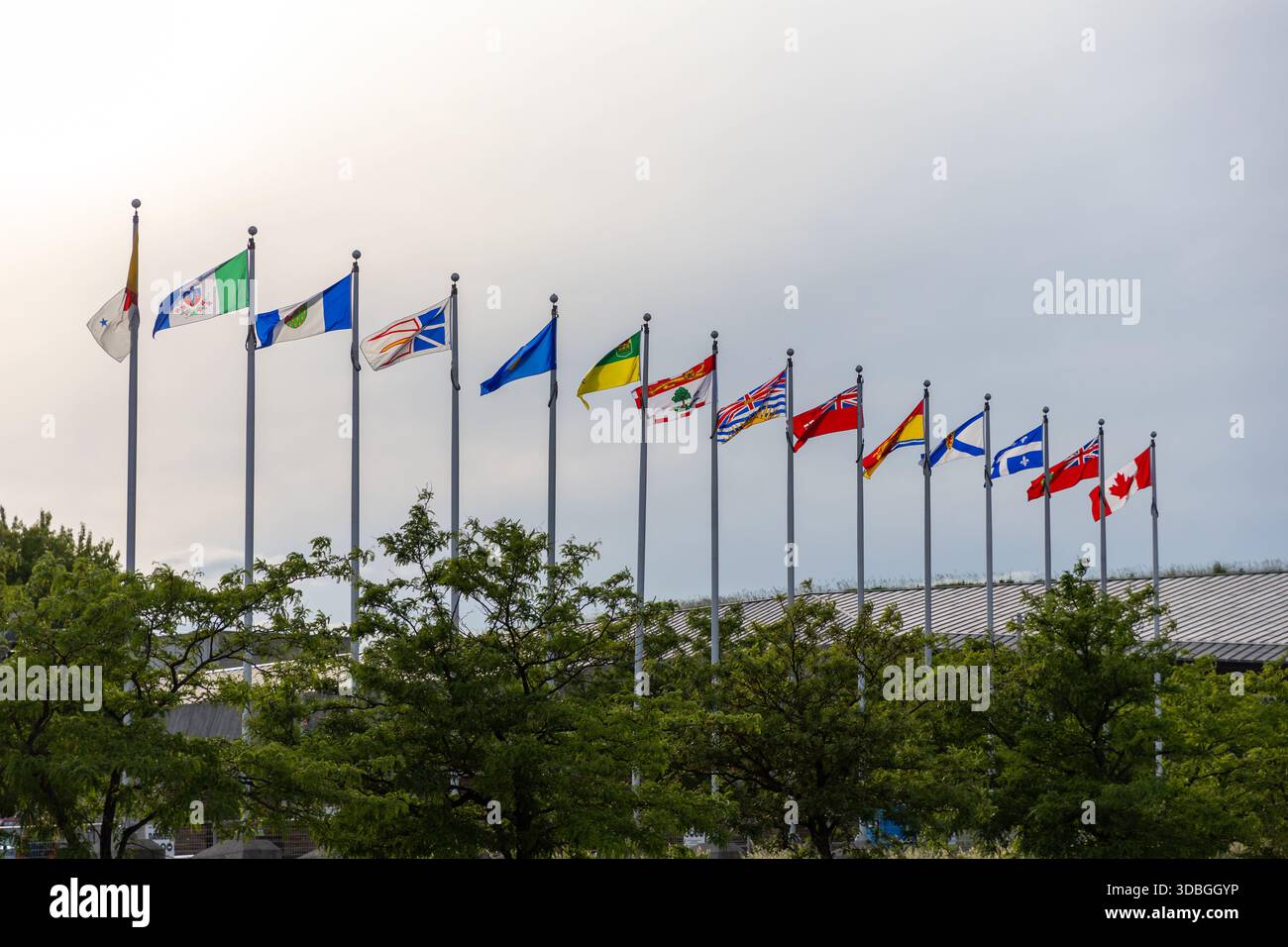 Flags of Canadian provinces and territories flying together on ...