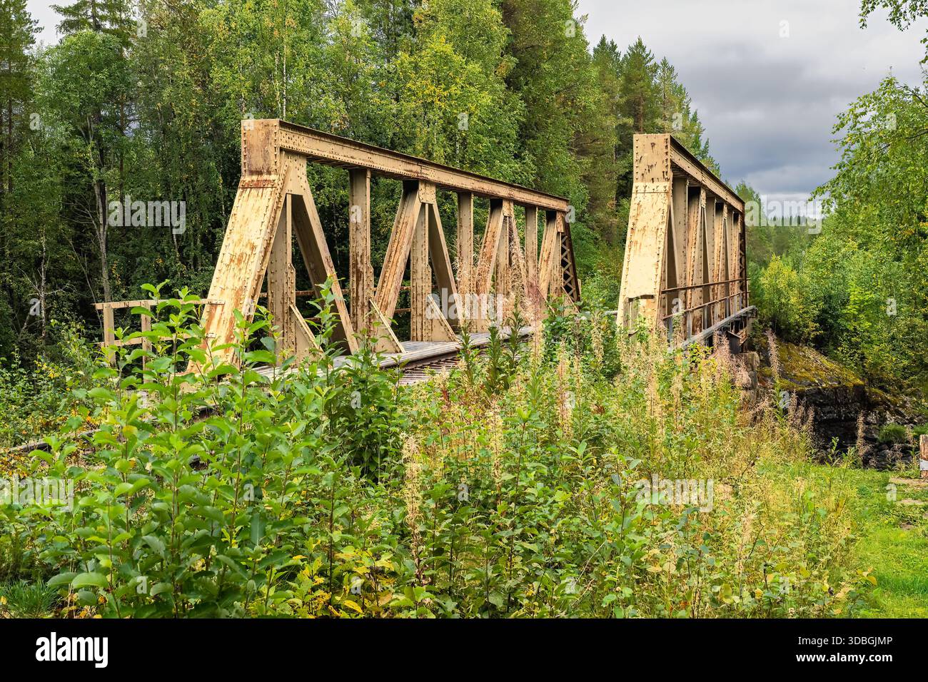 Weathered iron truss bridge for a railway line stands overgrown with ...