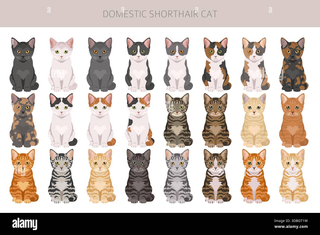 Tortoiseshell cat fur background Stock Vector Images - Alamy