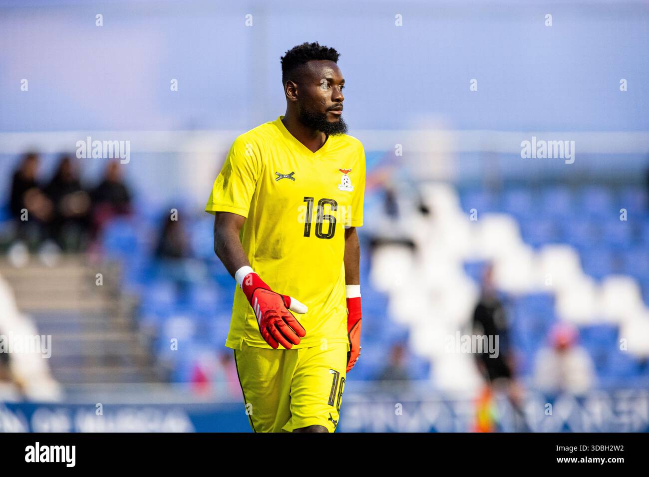LAWRENCE MULENGA, goalkeeper for the Zambian national team, during the ...