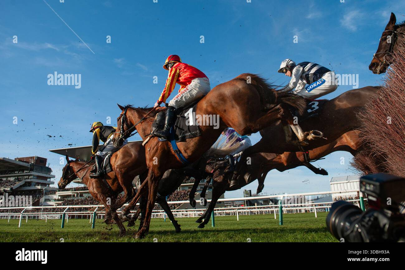 Ruby island horse hi-res stock photography and images - Alamy