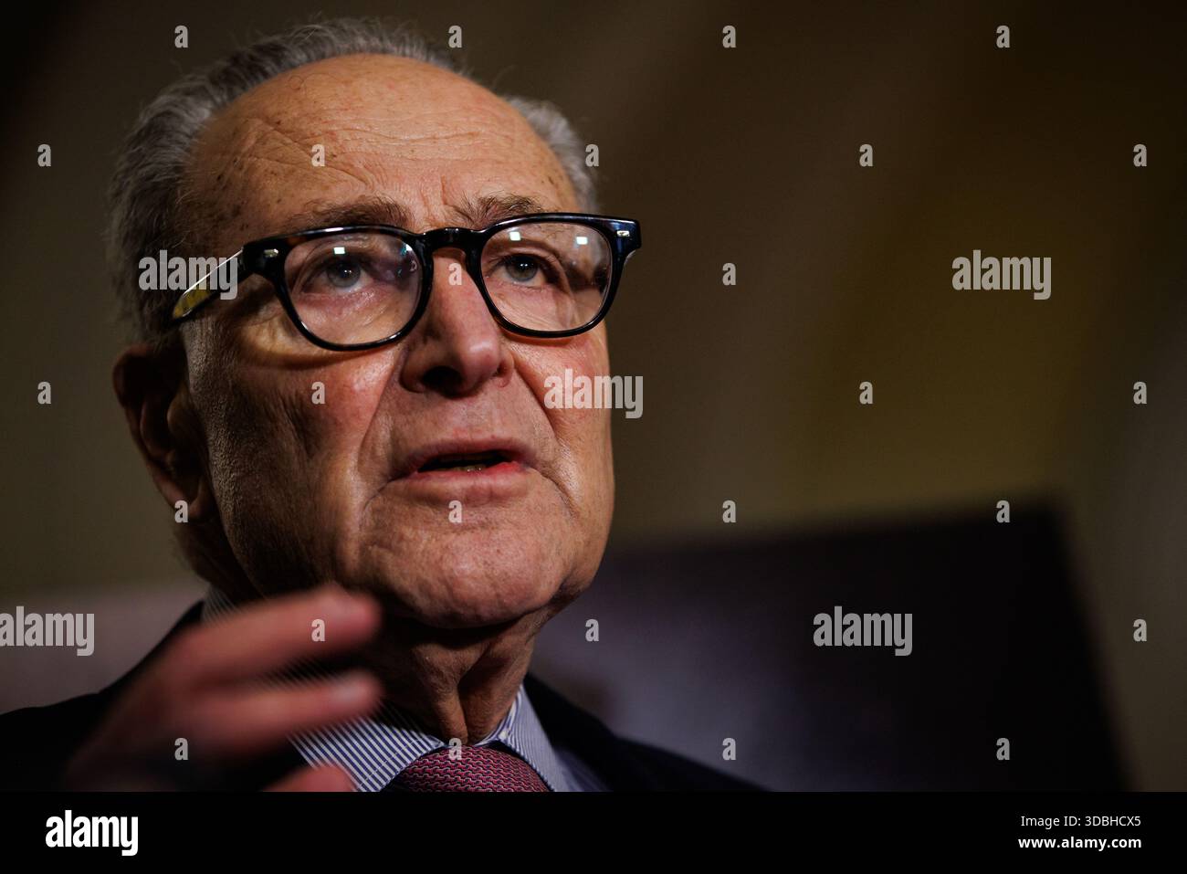 Senate Minority Leader Chuck Schumer (D-NY) speaks during a press ...