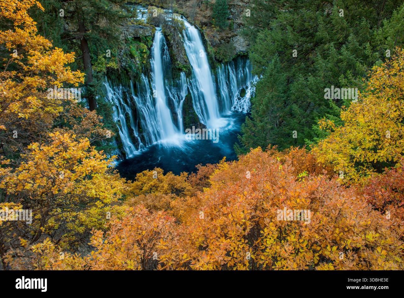 Waterfalls, California black Oak, Burney Falls Memorial State Park ...