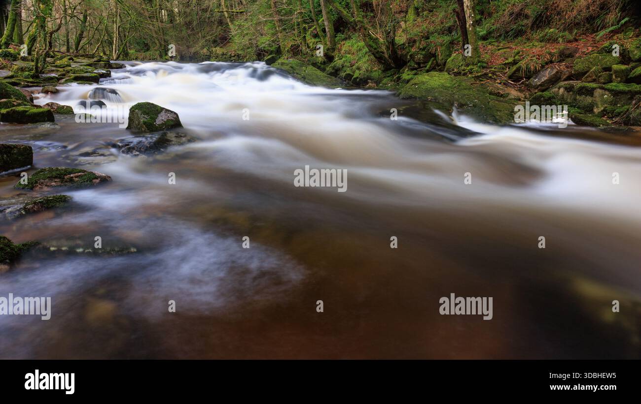 River Erme nr Ivybridge in Devon, Uk Stock Photo - Alamy