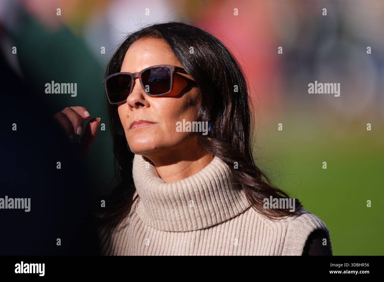 Television sideline reporter Tracy Wolfson before an NFL football game ...