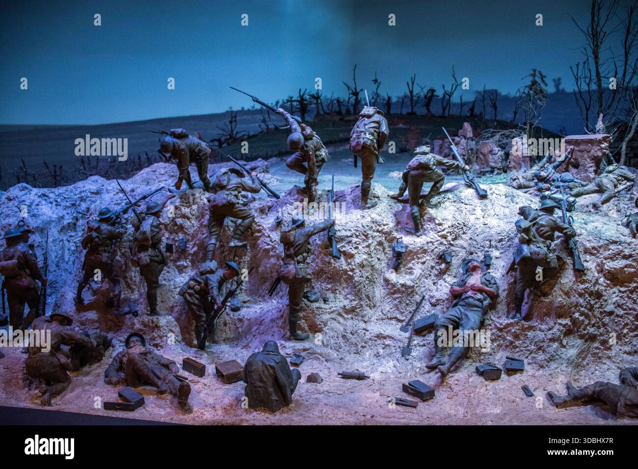 Historical Resource, Realistic simulation scenarios Trench warfare of ...