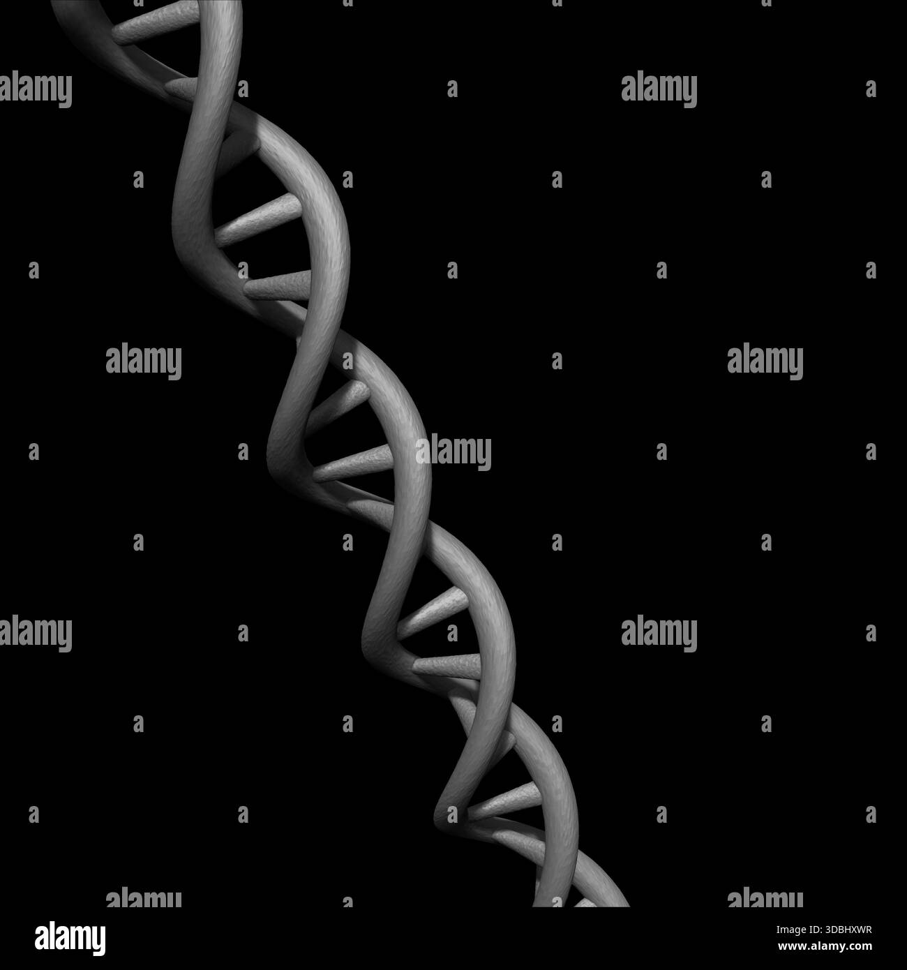 Dna structure design chromosome Black and White Stock Photos & Images ...