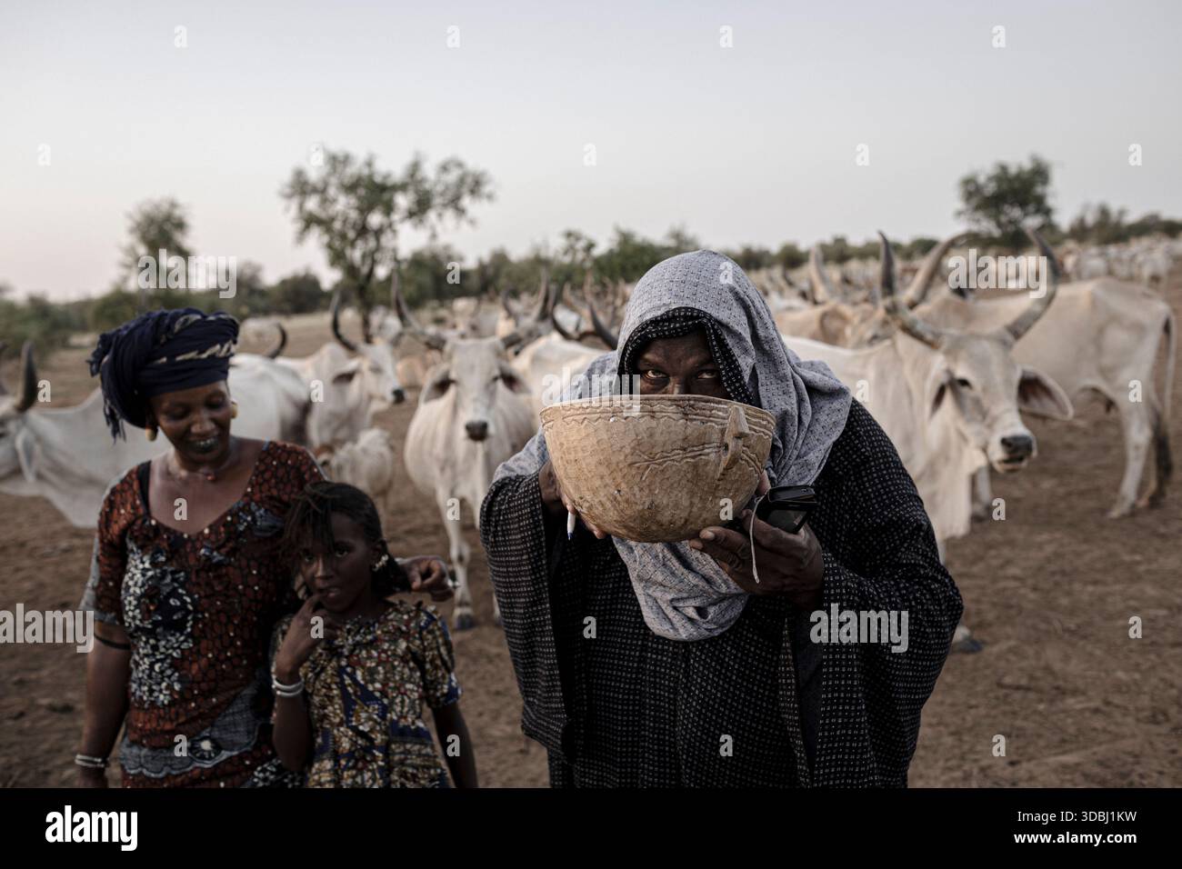 A Peul, a herder who has traditionally raised animals across lands from ...
