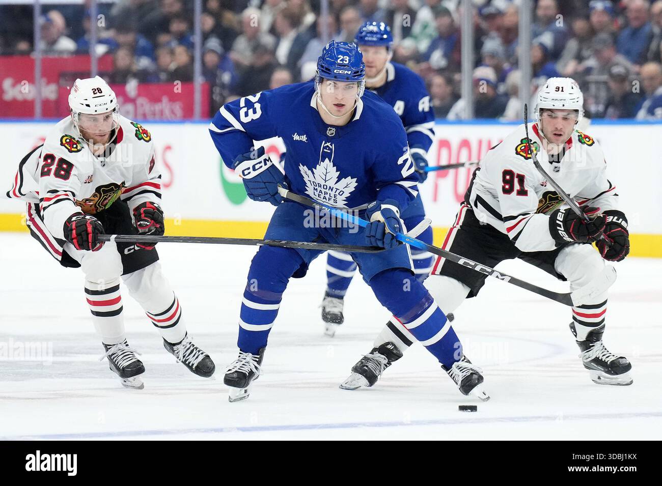 Toronto Maple Leafs forward Matthew Knies (23) breaks away between ...
