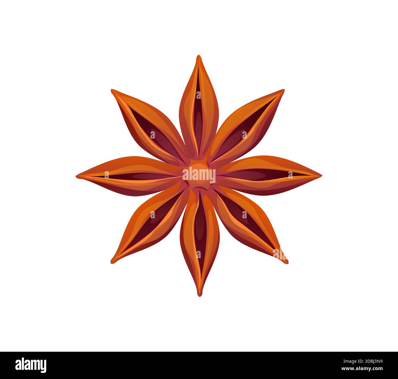 Spicy star anise isolated Stock Vector Images - Alamy