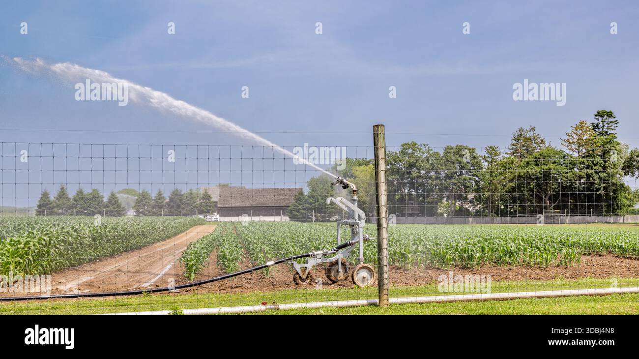 large heavy-duty sprinkler watering a field in watermill, ny Stock ...