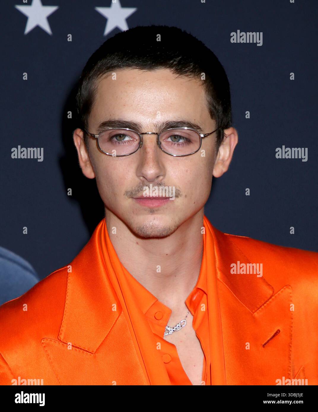 Timothee Chalamet attending the 'Marty Supreme' New York Premiere held ...