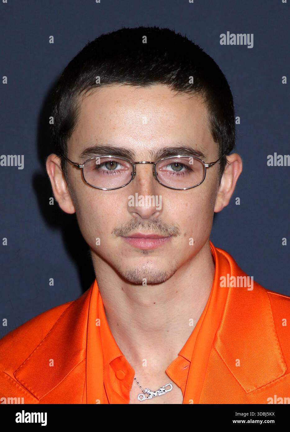Timothee Chalamet attending the 'Marty Supreme' New York Premiere held ...