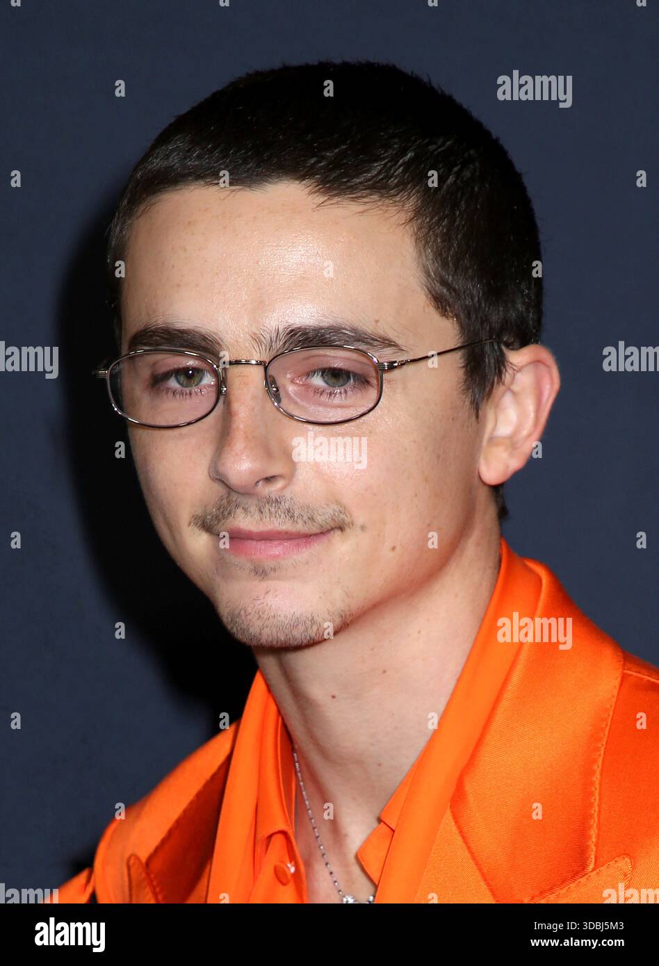 Timothee Chalamet attending the 'Marty Supreme' New York Premiere held ...