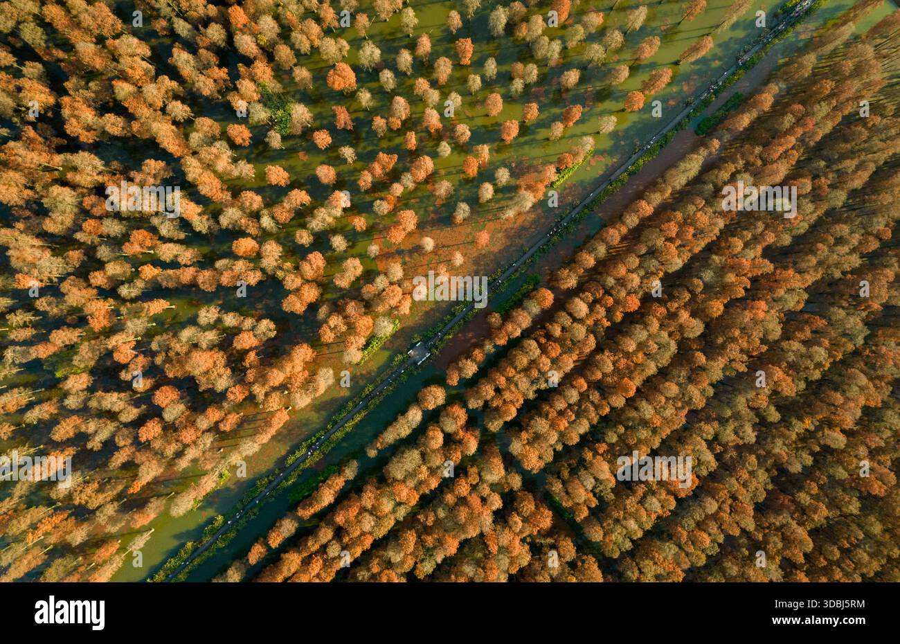 **CHINESE MAINLAND, HONG KONG, MACAU AND TAIWAN OUT** Aerial photo ...