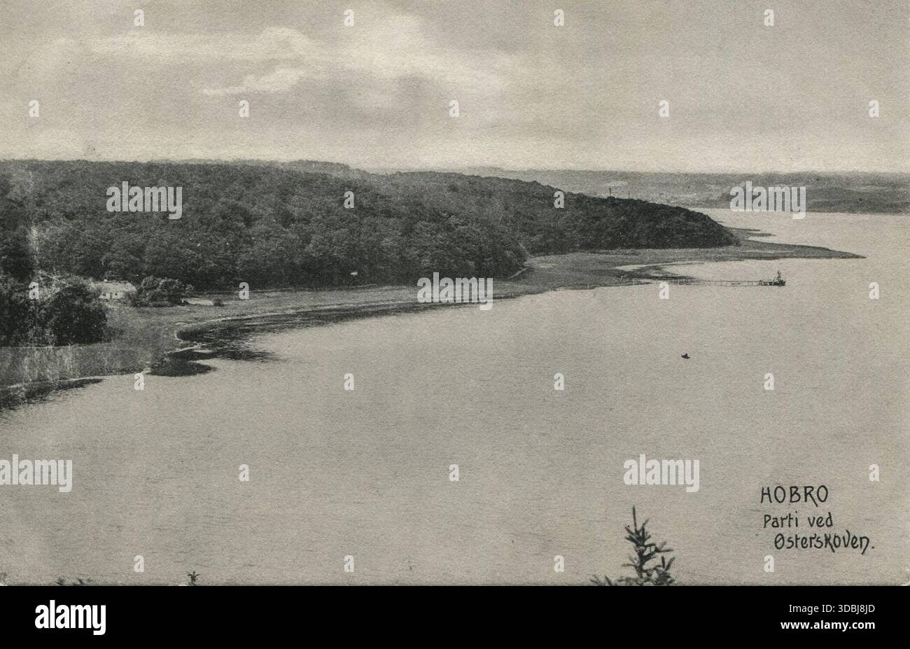 A 1918 vintage postcard image of the gathering place at Østerskoven ...