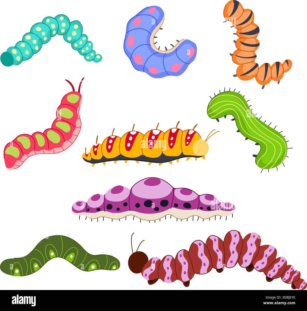 Diverse group of insects Stock Vector Images - Alamy