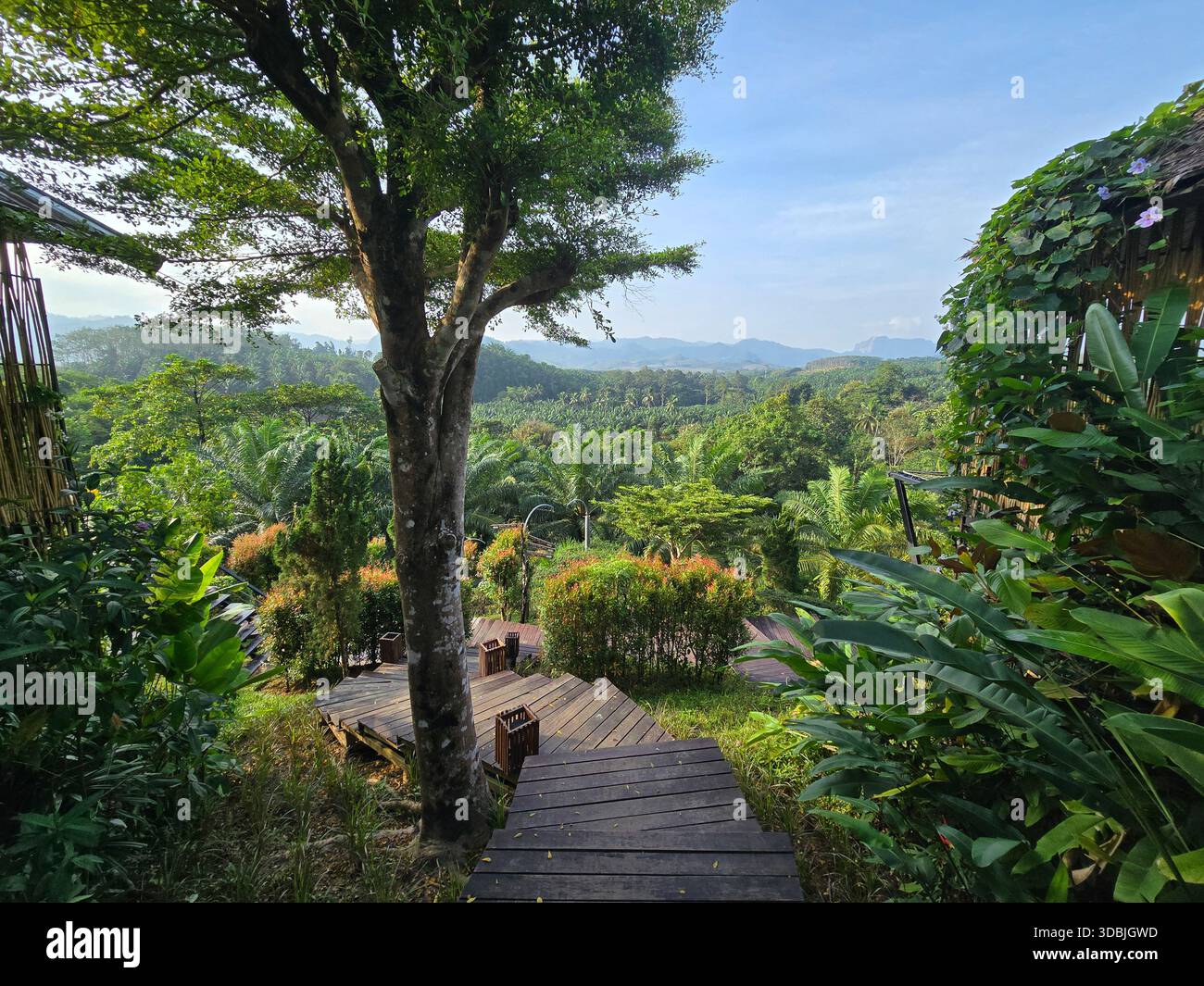 Discover stunning landscapes khao sok hi-res stock photography and ...