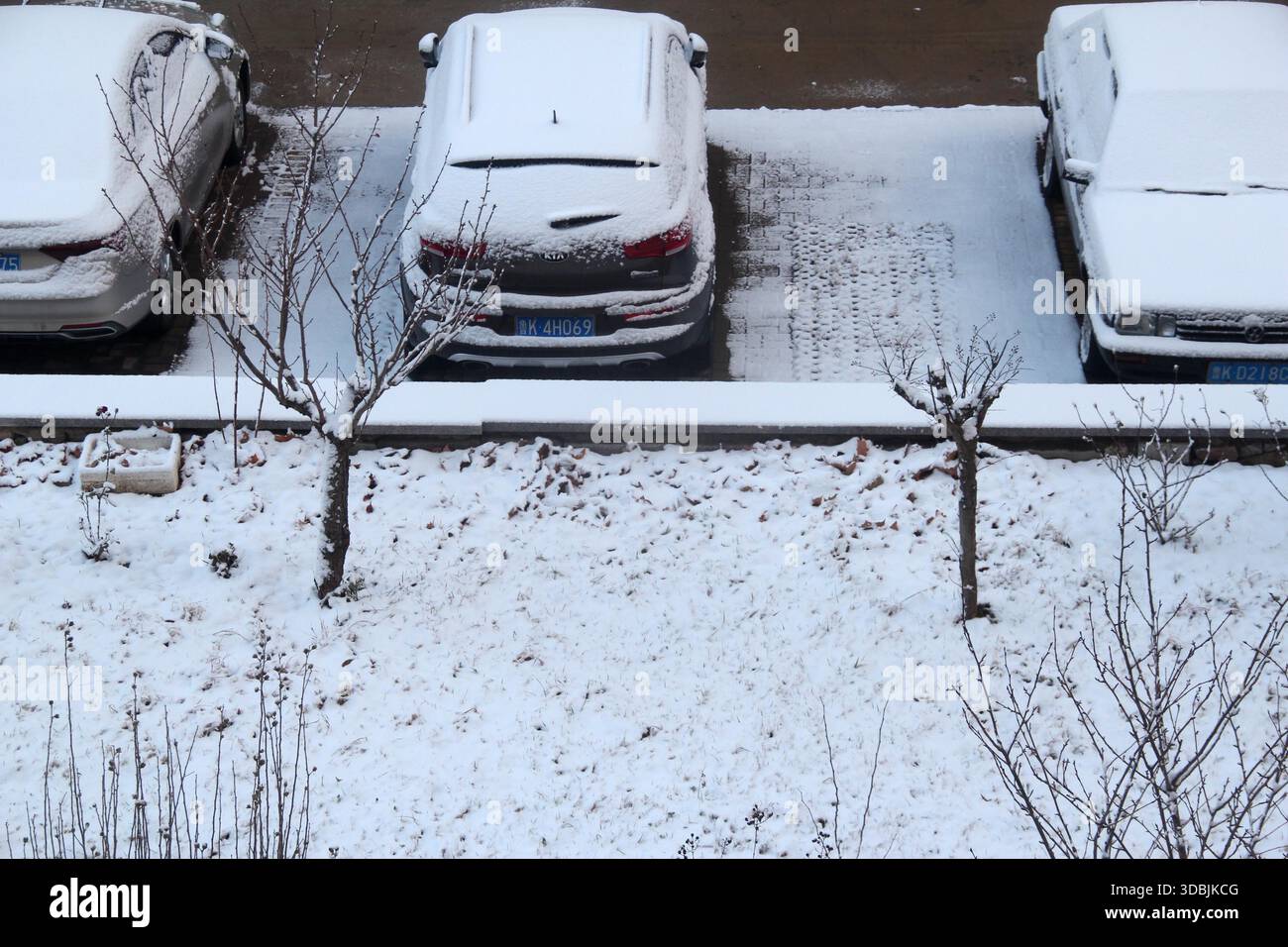 Snow scenery in Weihai City, east China's Shandong Province, 14 ...