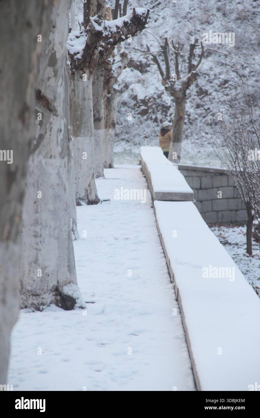 Snow scenery in Weihai City, east China's Shandong Province, 14 ...