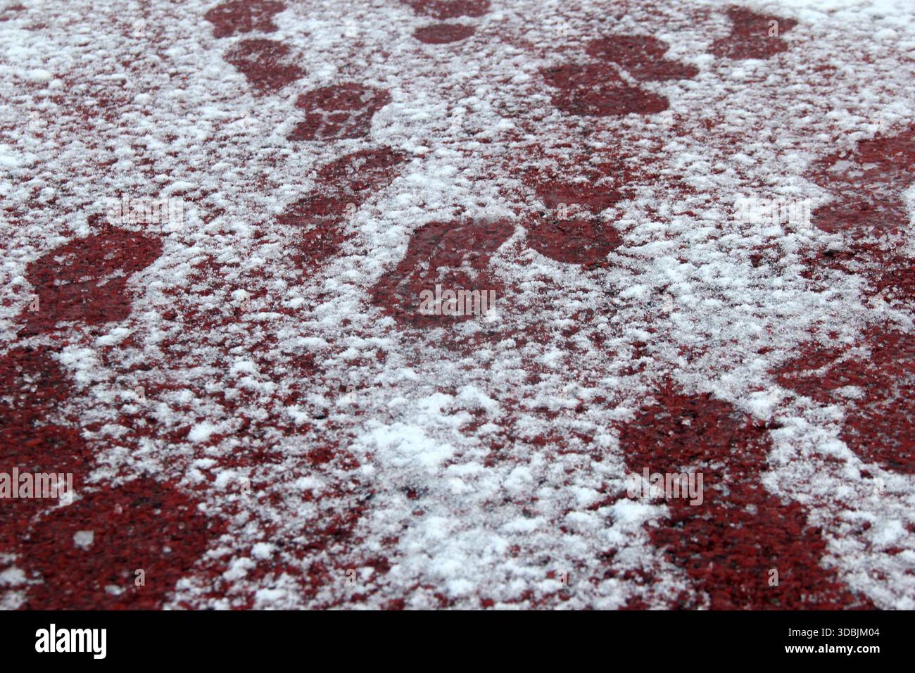 Snow scenery in Weihai City, east China's Shandong Province, 14 ...